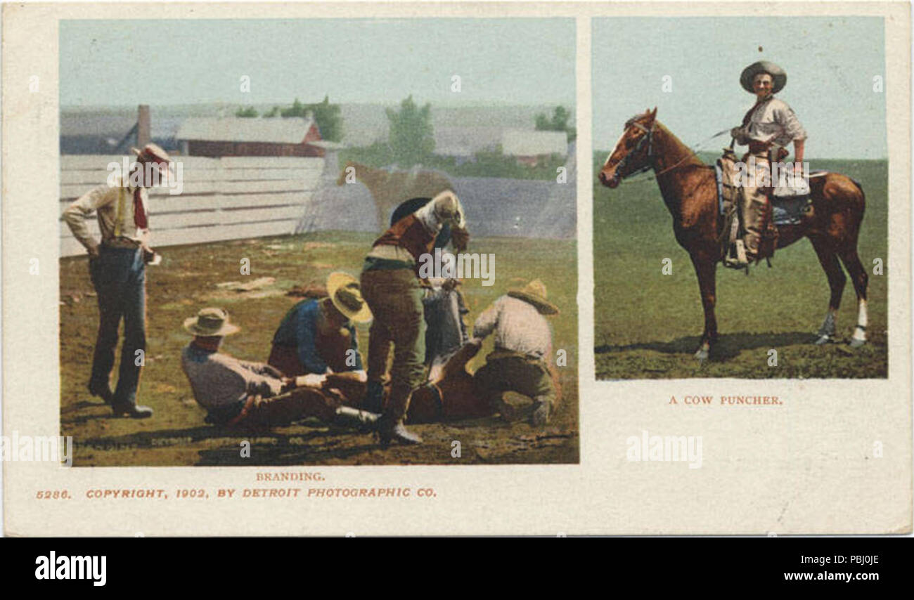 Cow puncher hi-res stock photography and images - Alamy