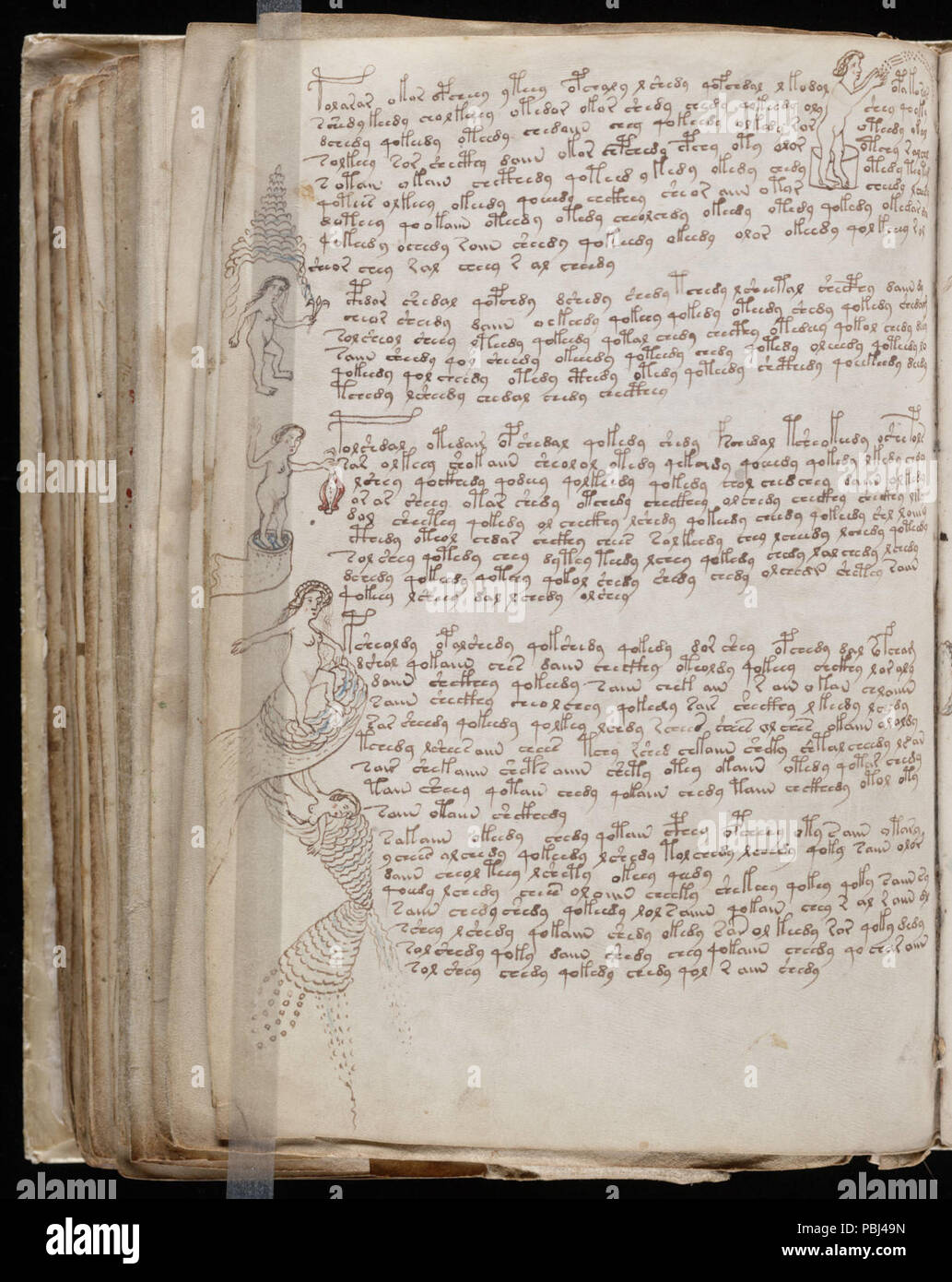 Voynich codex hi-res stock photography and images - Alamy