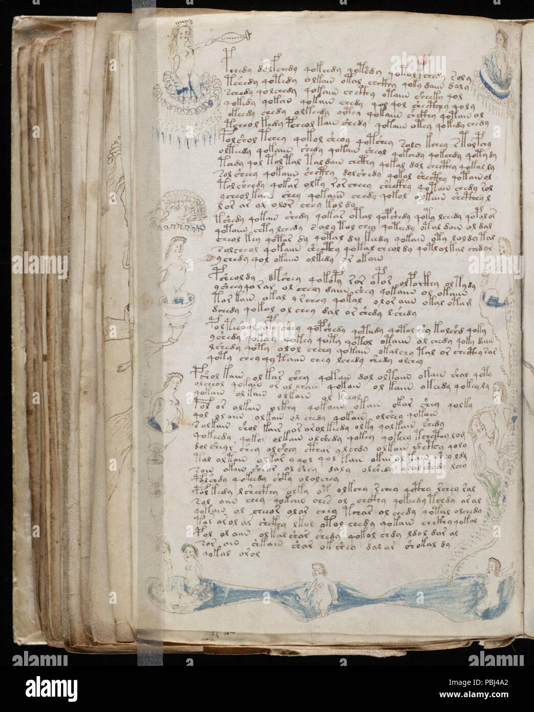 1824 Voynich Manuscript (146 Stock Photo - Alamy