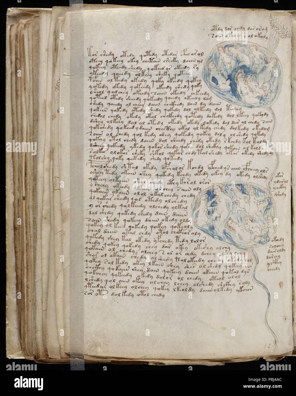 Voynich codex hi-res stock photography and images - Alamy