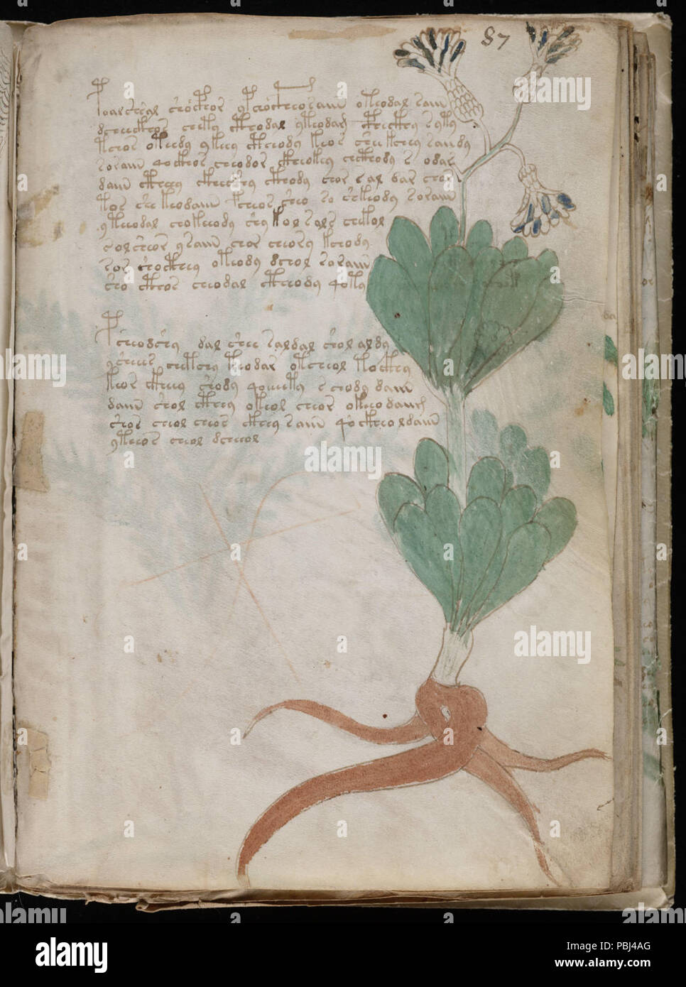 Manuscript decoding hi-res stock photography and images - Alamy