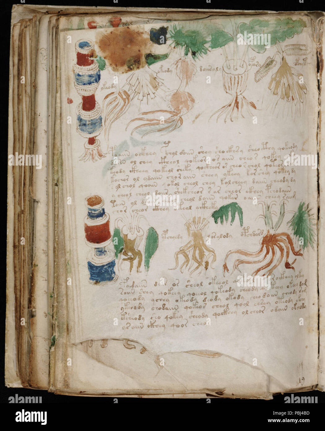 Voynich codex hi-res stock photography and images - Alamy