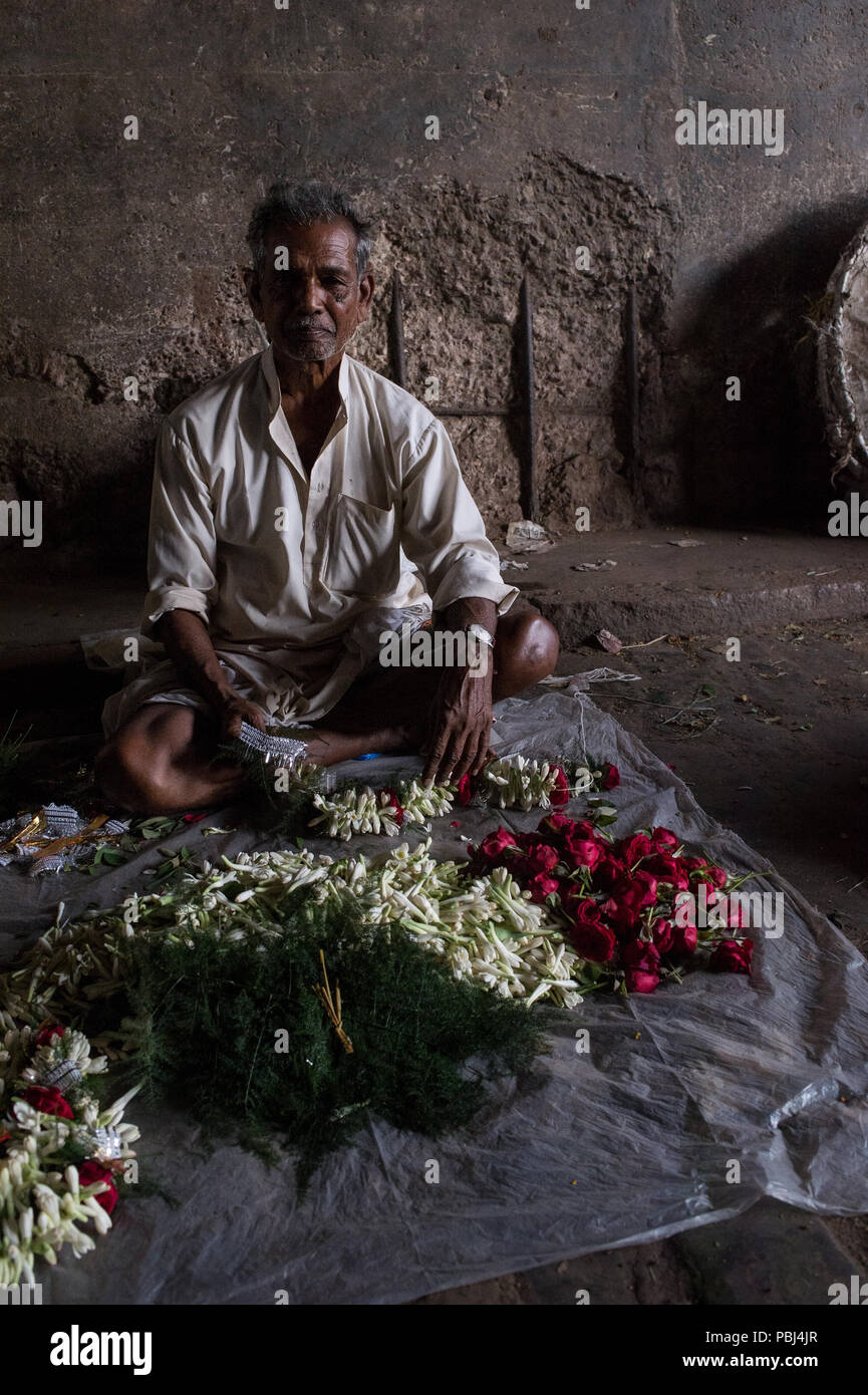 Bengala bengala hi-res stock photography and images - Alamy