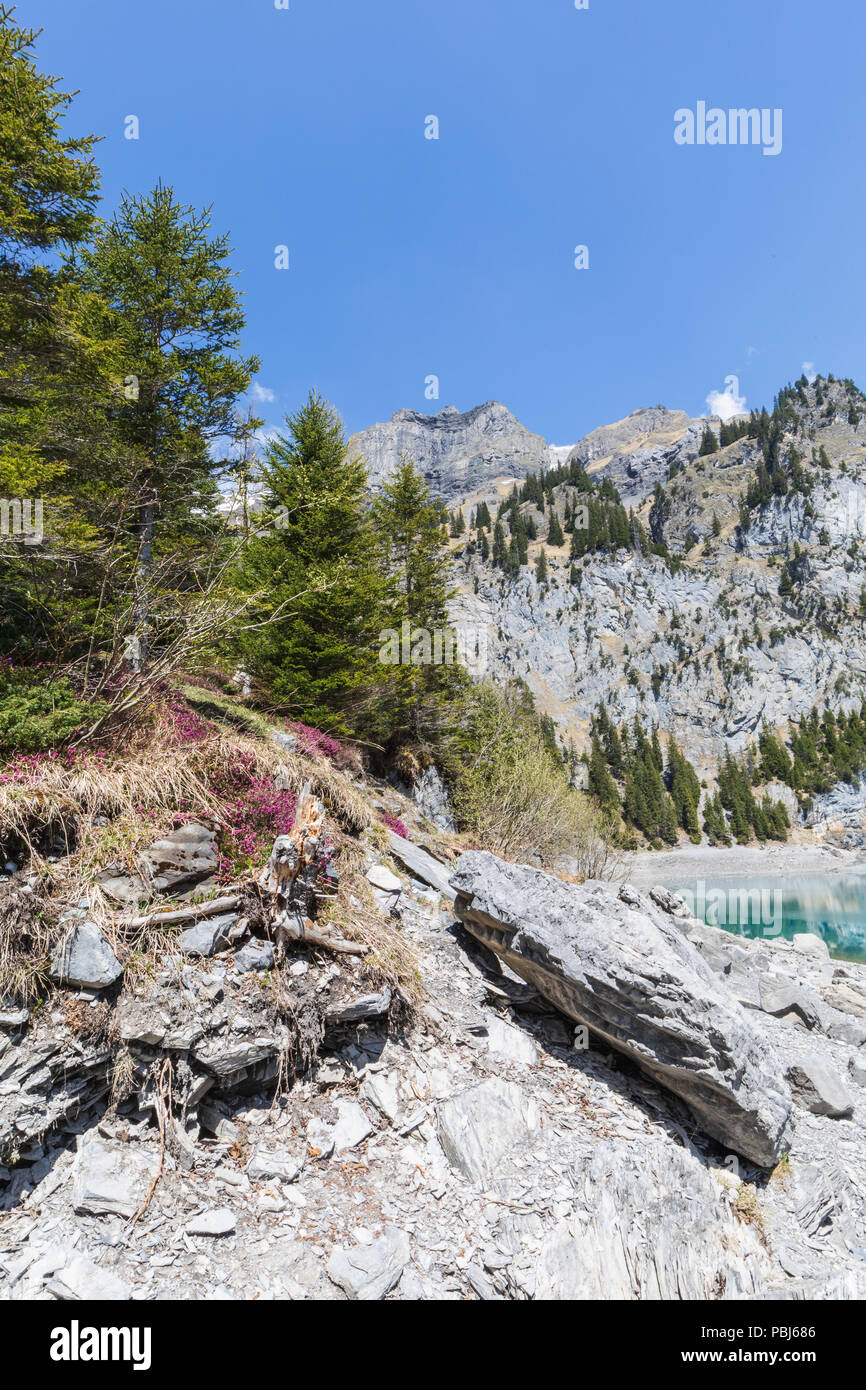 Kandersteg switzerland summer hi-res stock photography and images - Alamy