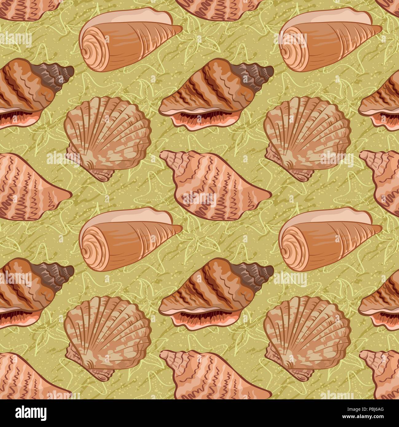 Cartoon seashells Stock Vector Images - Alamy