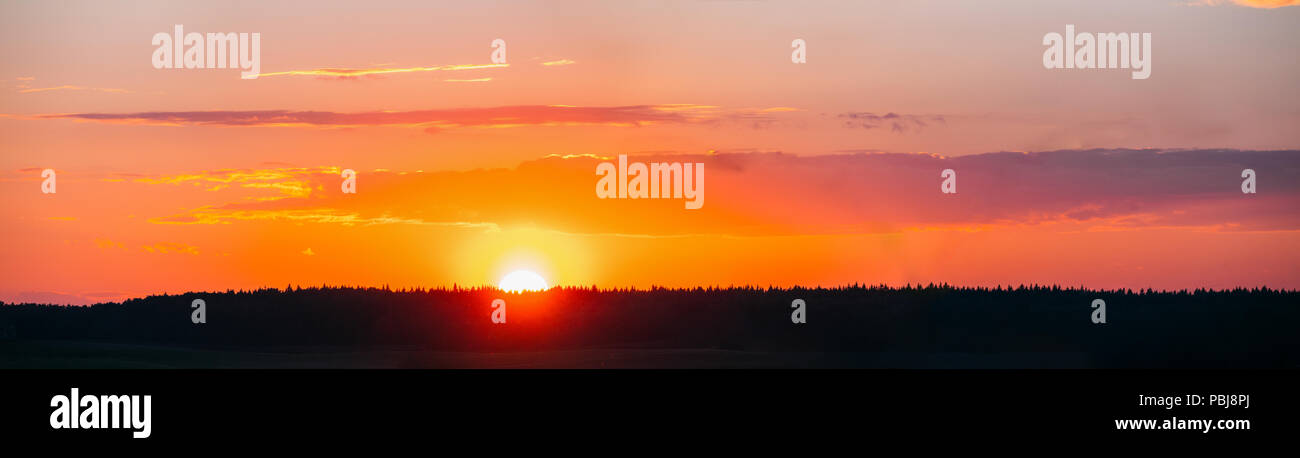 Sun Over Forest Horizon In Sunset, Sunrise Time Background. Bright ...