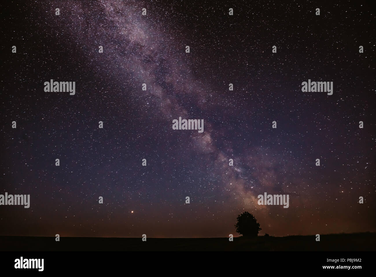 Milky Way Galaxy In Night Starry Sky Above Lonely Tree In Summer Meadow ...