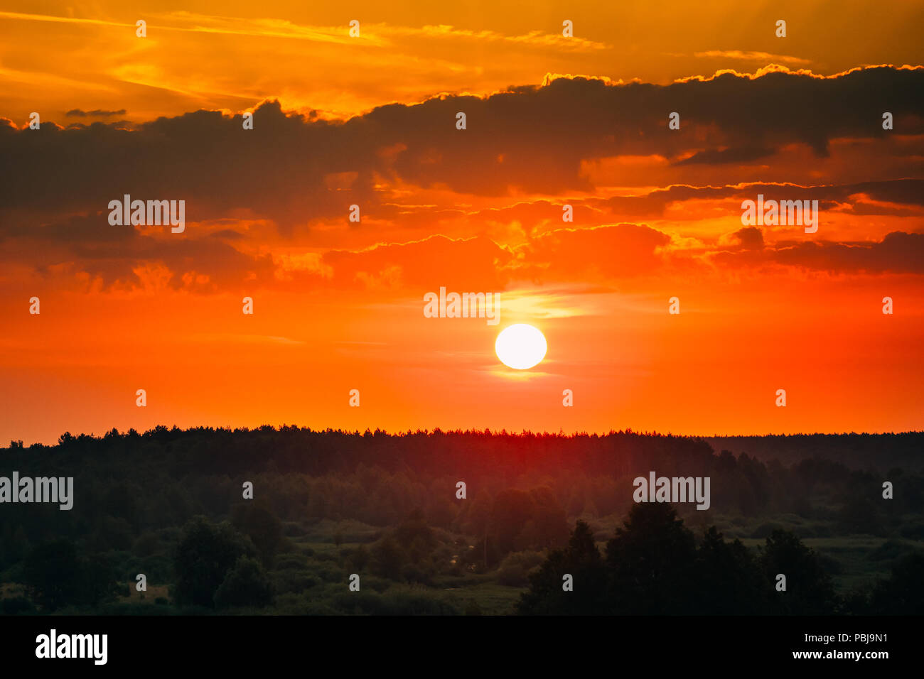 Sunrise over forest hi-res stock photography and images - Alamy