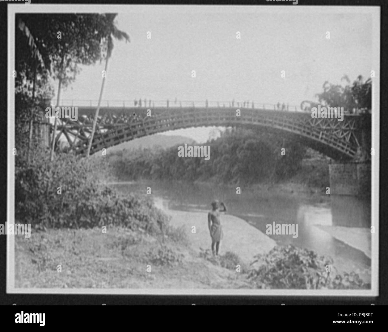 Peradeniya bridge hi-res stock photography and images - Alamy