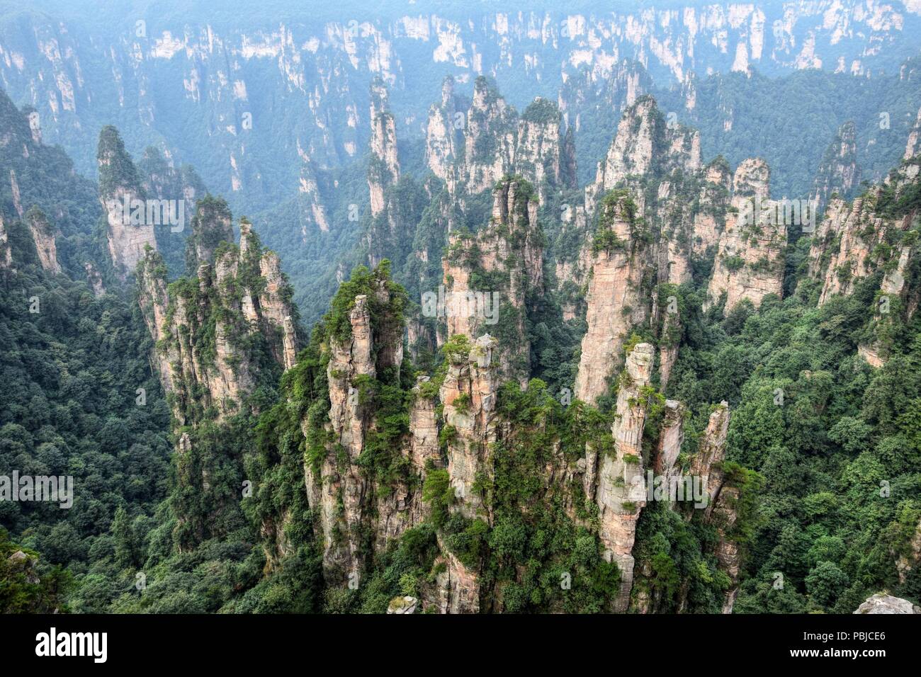 Avatar movie scene hi-res stock photography and images - Alamy
