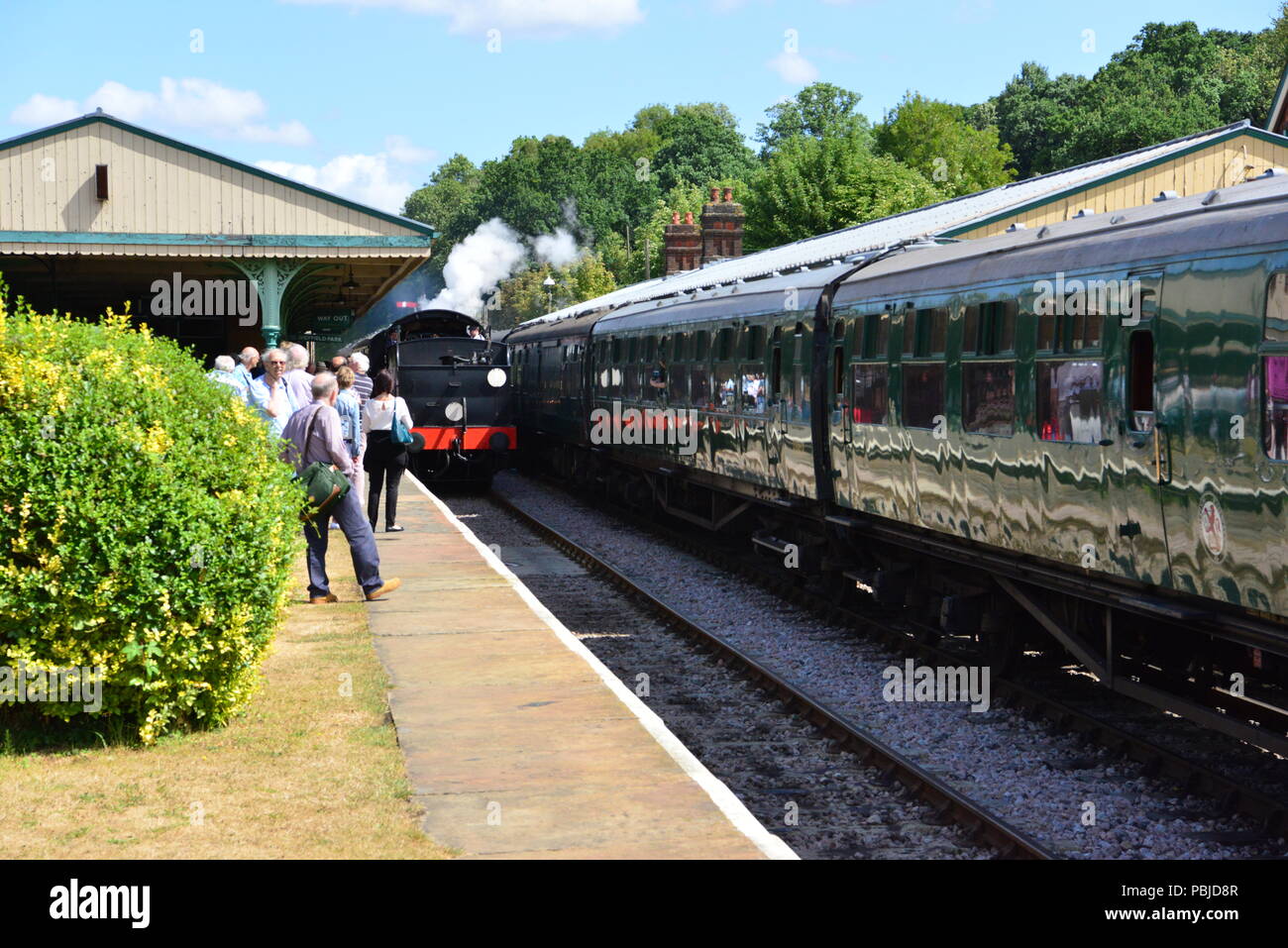 A Q class locomotive on the Bluebell Railway Stock Photo - Alamy