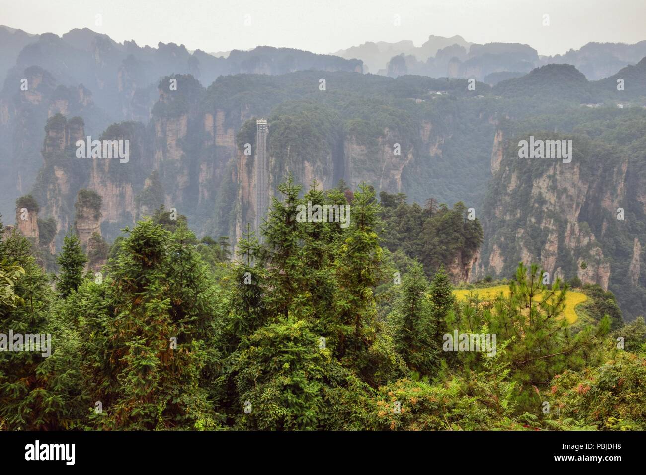 Avatar movie scene hi-res stock photography and images - Alamy