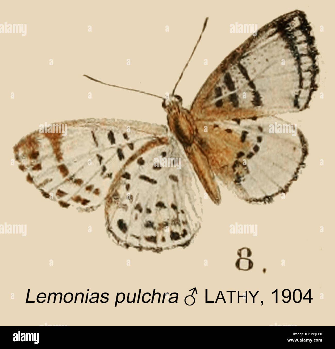 1236 hi-res stock photography and images - Alamy