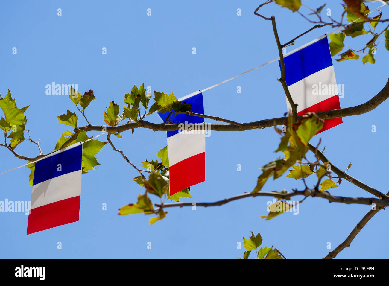 French flags displayed on the occasion of Bastille Day, Cassis, Bouches ...