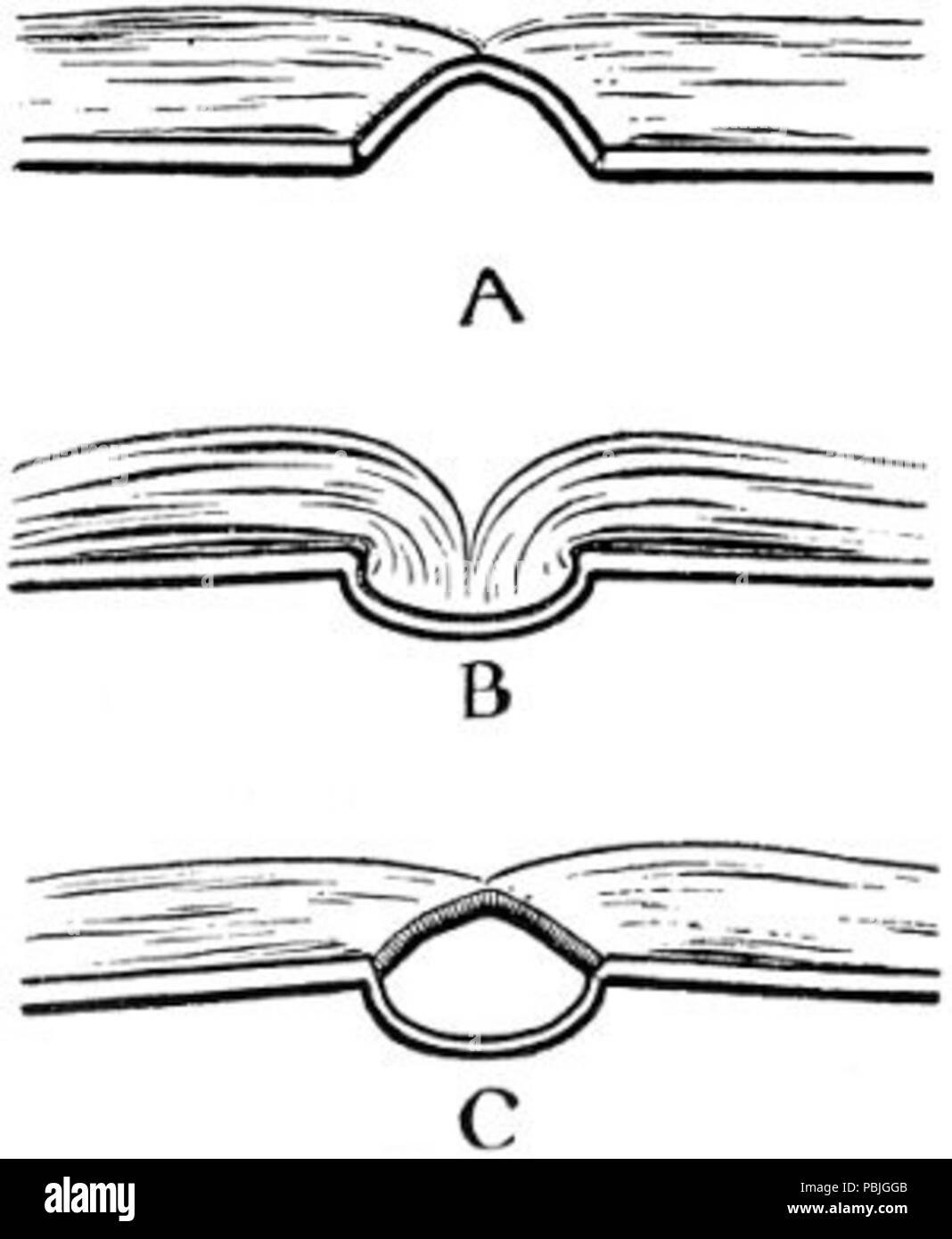 734 Gs026 bookspines Stock Photo - Alamy