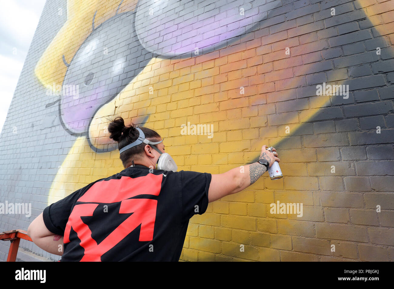 Hayley Garner of Nomad Clan, spray paints a mural on the side of the ...