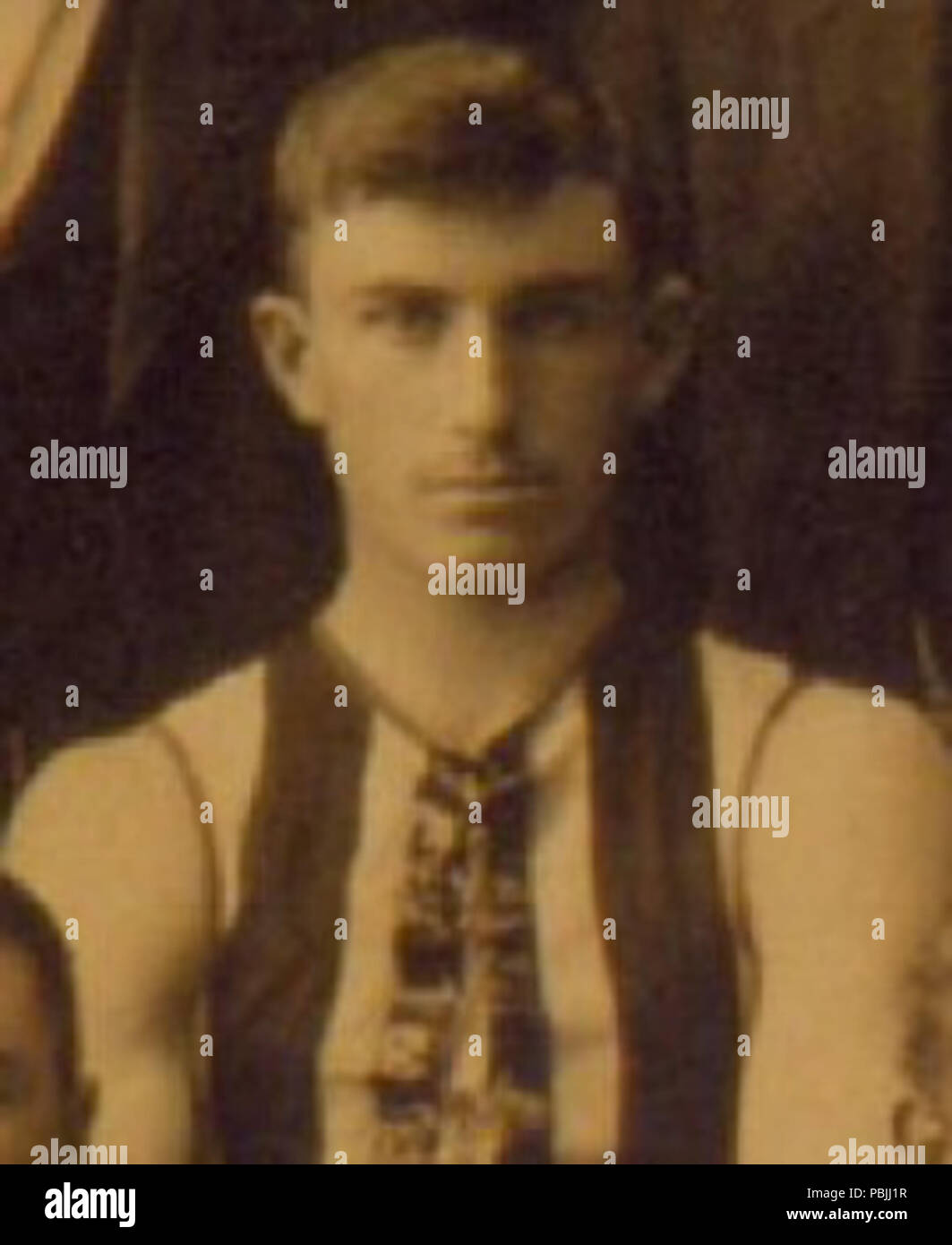 Wal illustration hi-res stock photography and images - Alamy