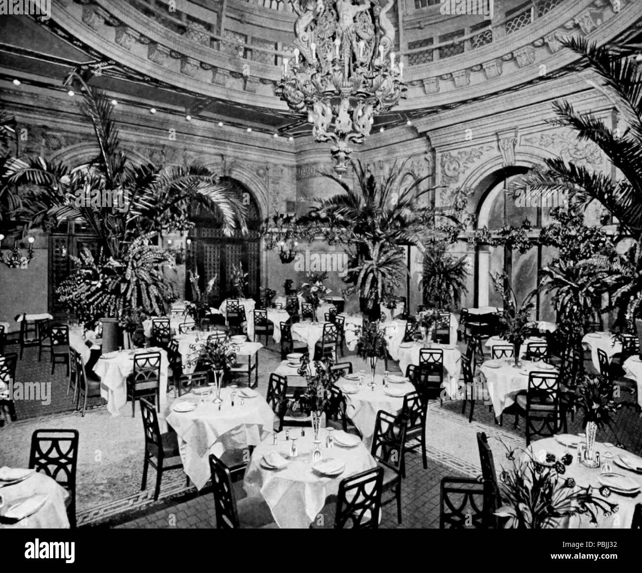 Ornamental garden plants Black and White Stock Photos & Images - Alamy