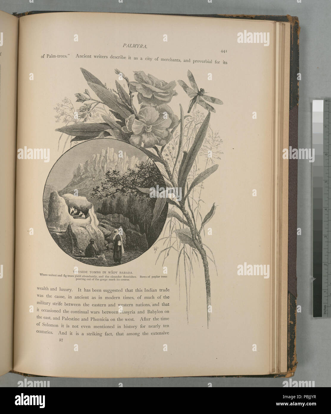 Mark gorge hi-res stock photography and images - Alamy