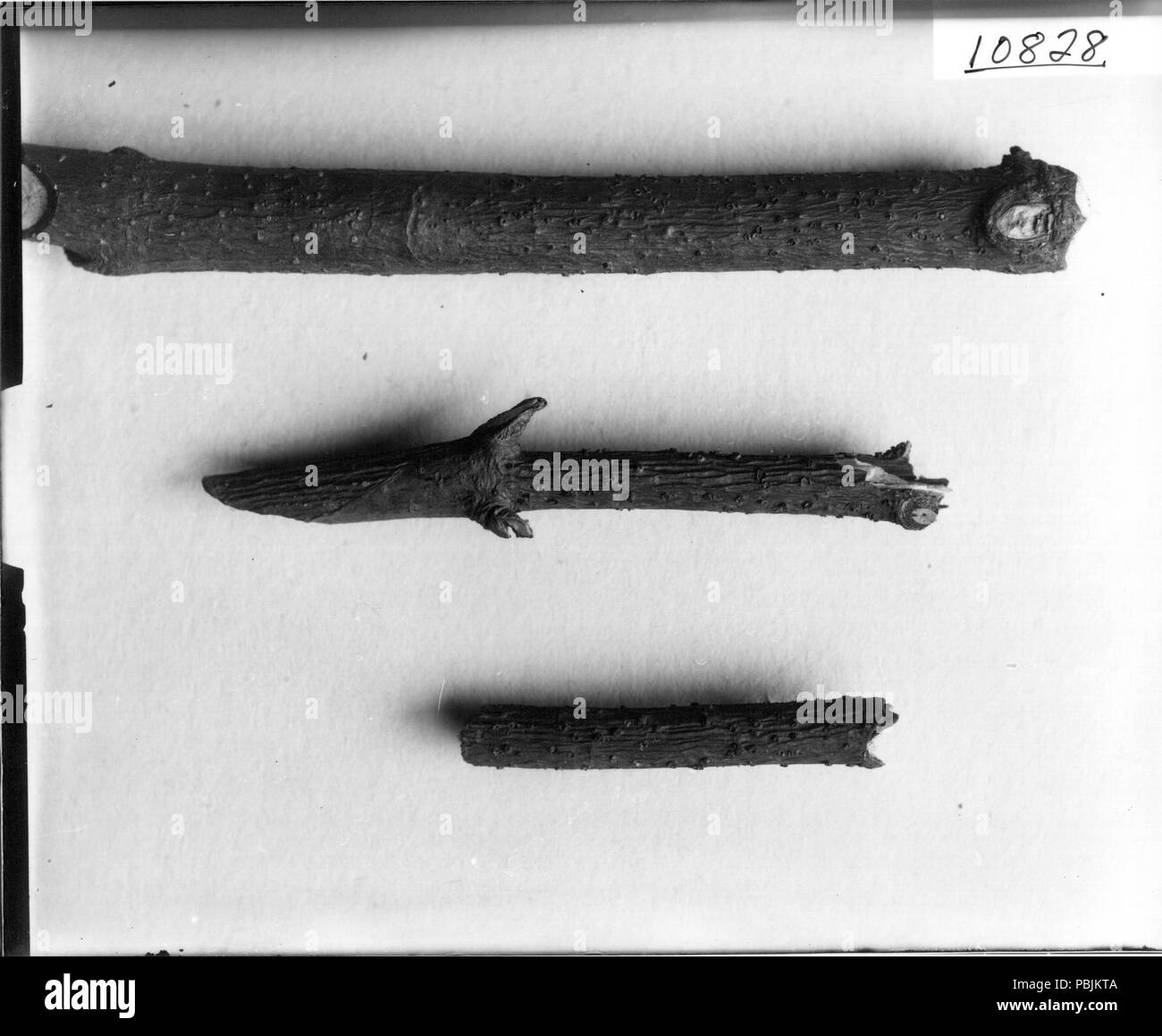 Historical college catalog Black and White Stock Photos & Images - Alamy