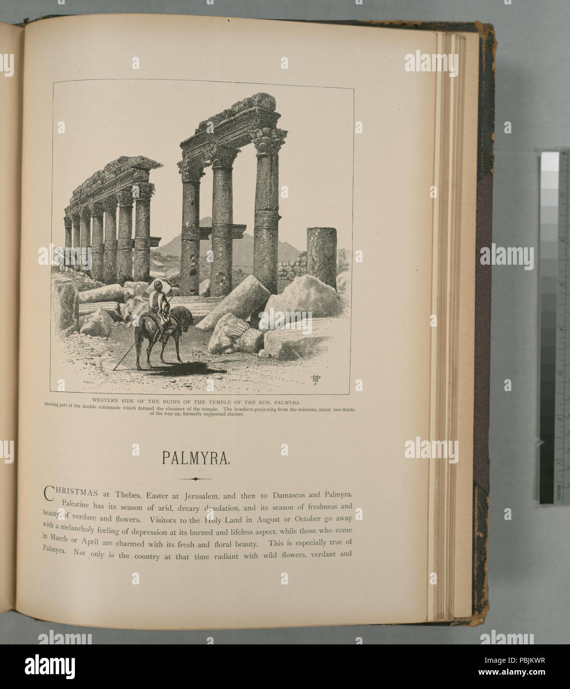 1844 Western side of the ruins of the Temple of the Sun, Palmyra ...