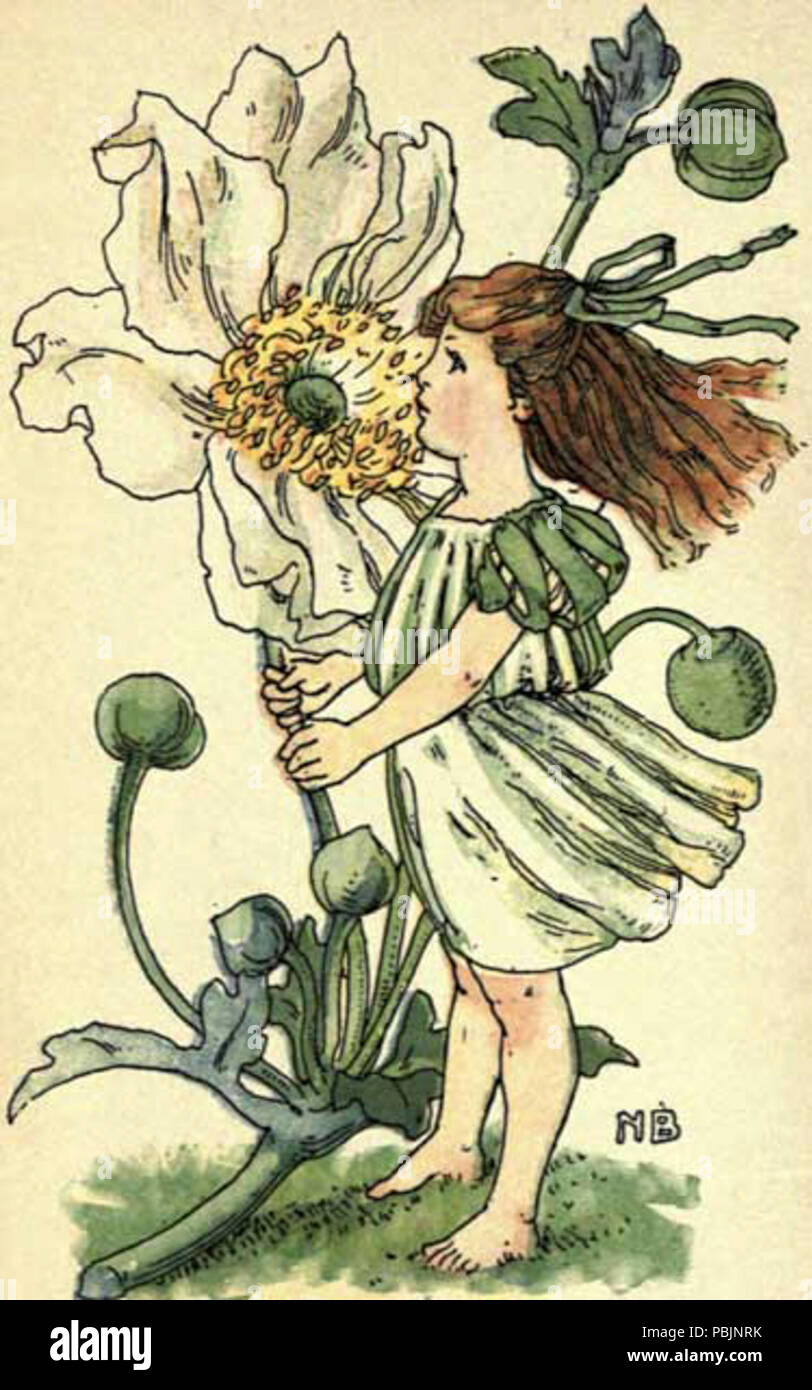 Historical flower study hi-res stock photography and images - Alamy