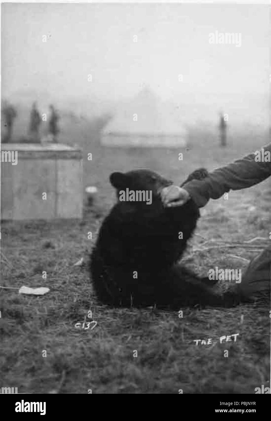 Military pet history hi-res stock photography and images - Alamy