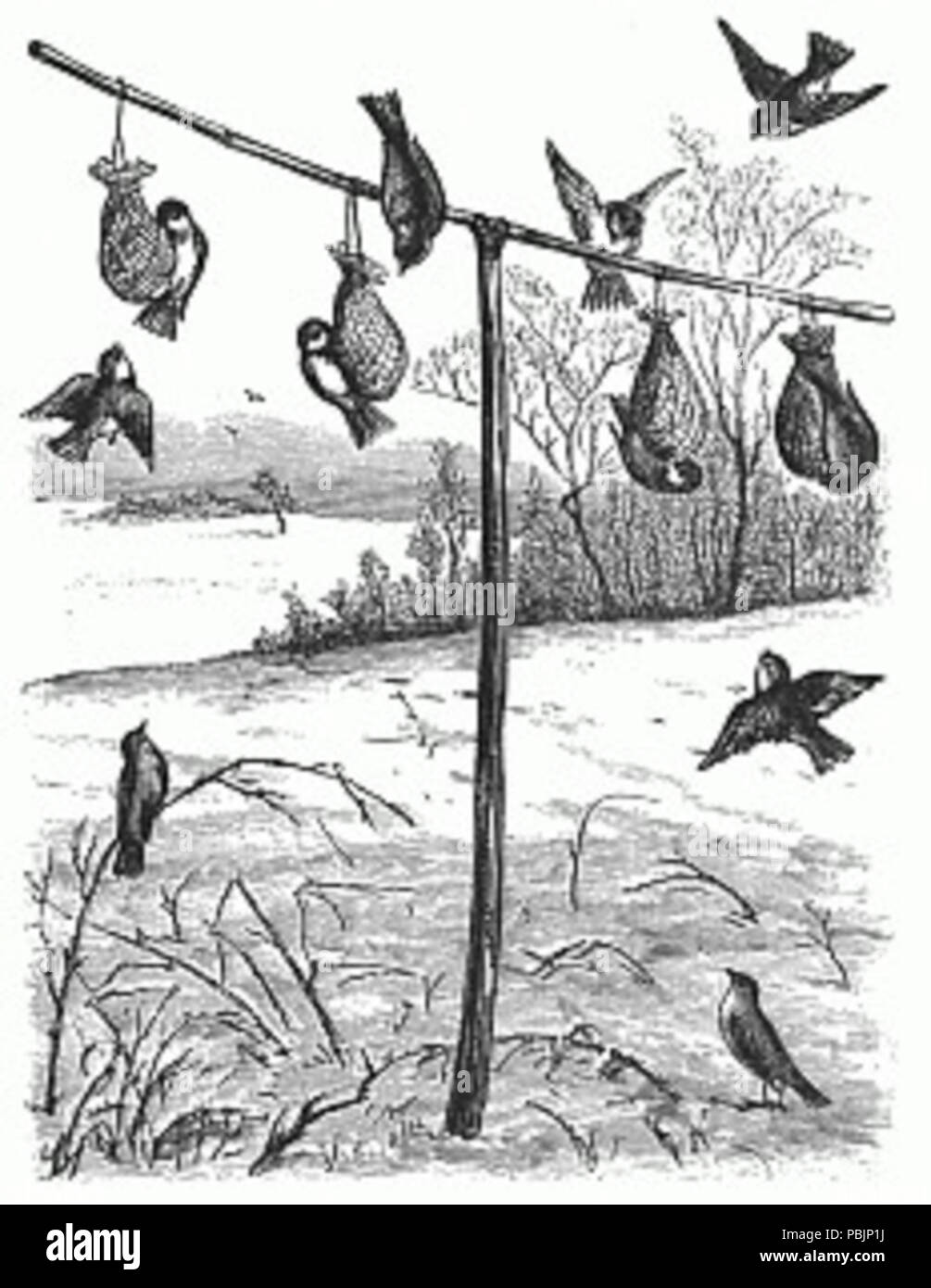 Winter scene 19th Cut Out Stock Images & Pictures - Alamy