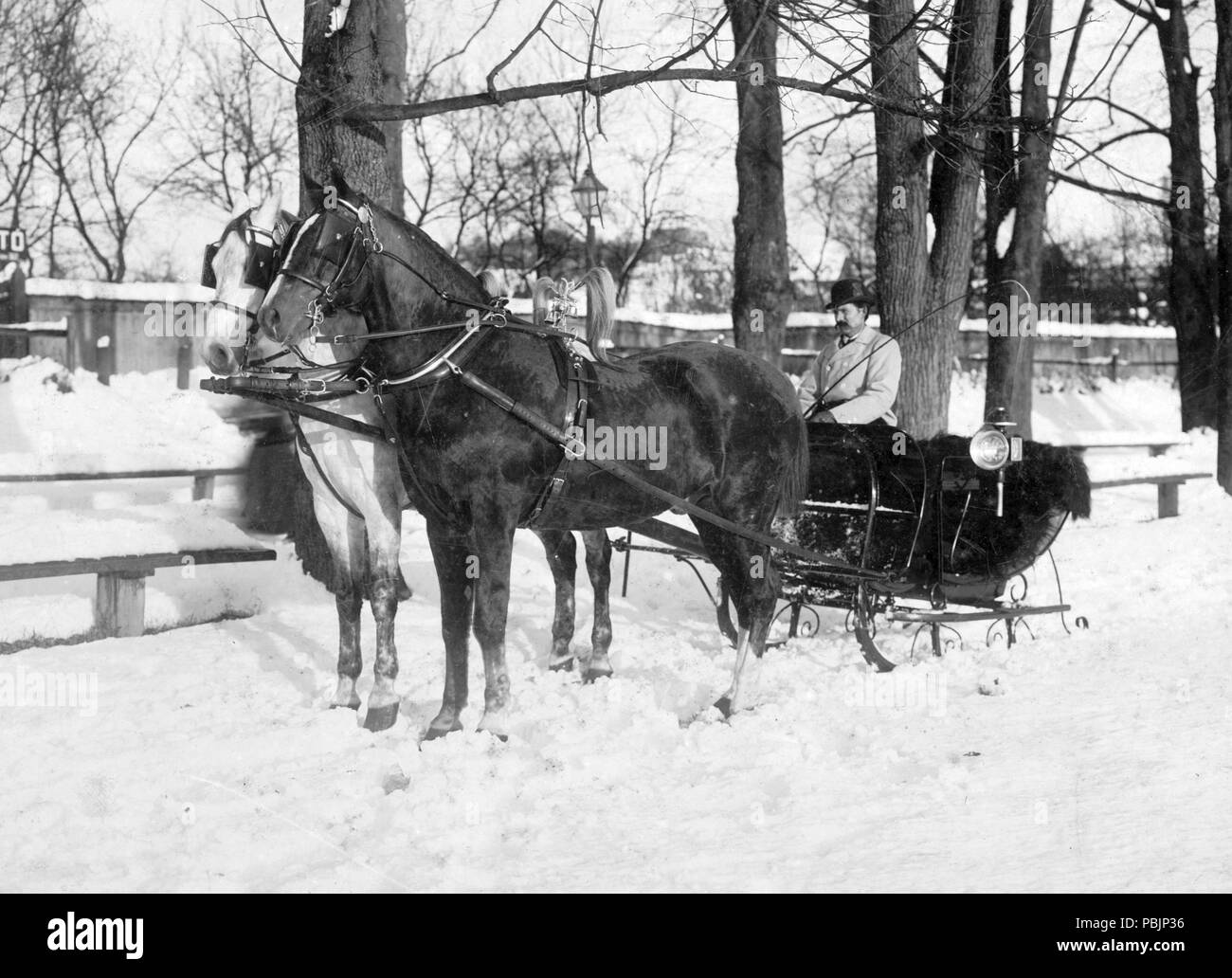 Teamster horse hi-res stock photography and images - Alamy