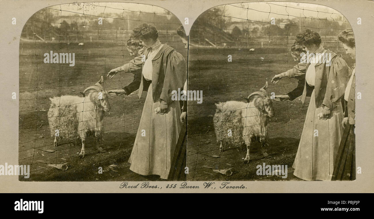 1867 Women with goat Stock Photo - Alamy