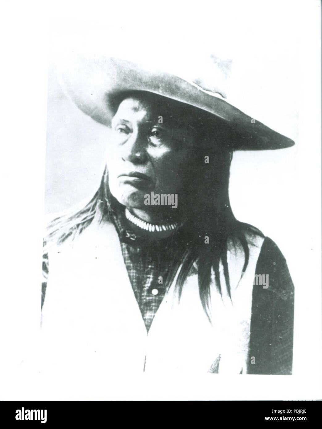 Native american wolf hi-res stock photography and images - Alamy