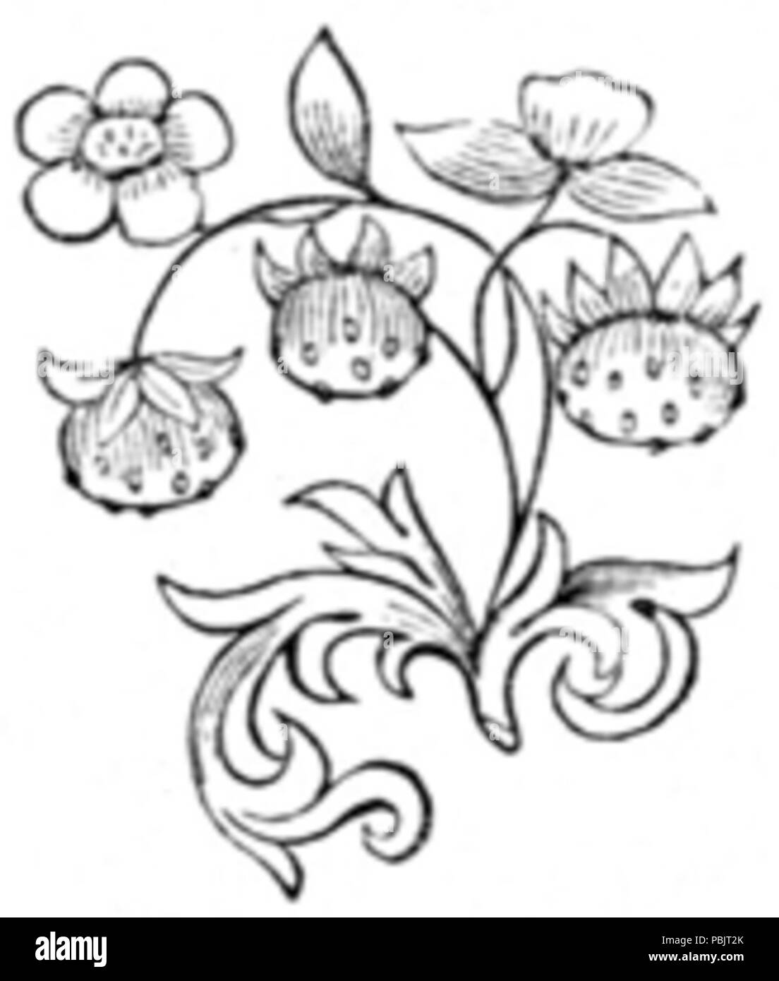 Historical, flowers, painting Cut Out Stock Images & Pictures - Alamy