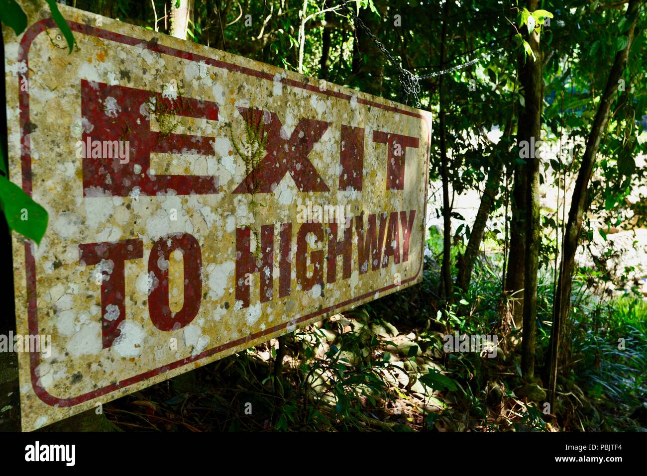 Exit to highway sign in a forest, Wooroonooran National Park, Atherton ...