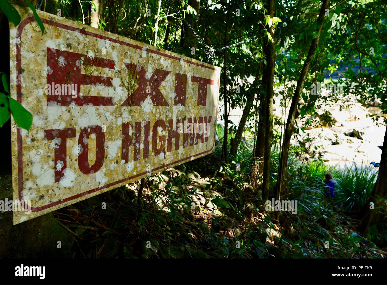 Exit to highway sign in a forest, Wooroonooran National Park, Atherton ...