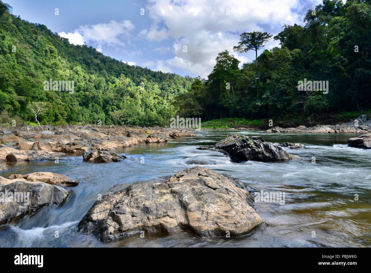 The rapids at the North Johnstone river, Wooroonooran National Park ...