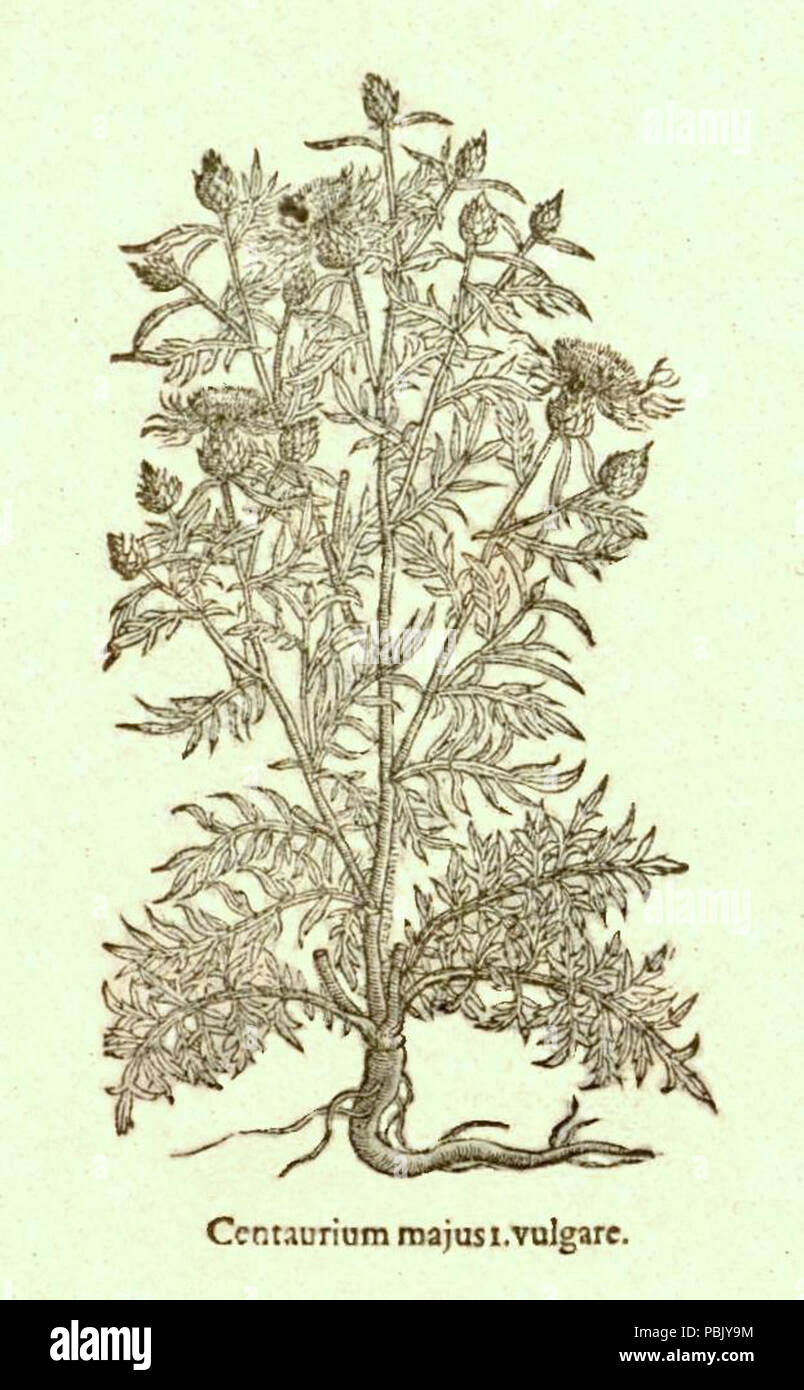 Clusius works hi-res stock photography and images - Alamy