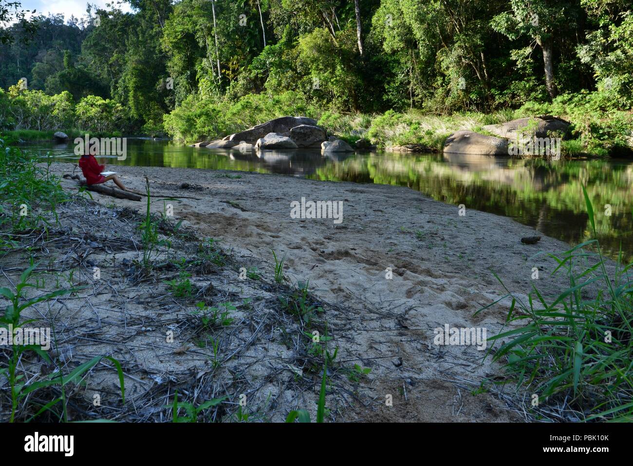 Wooroonooran National Park, Atherton Tablelands, QLD, Australia Stock ...