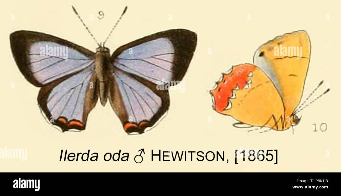 Battle of ilerda hi-res stock photography and images - Alamy