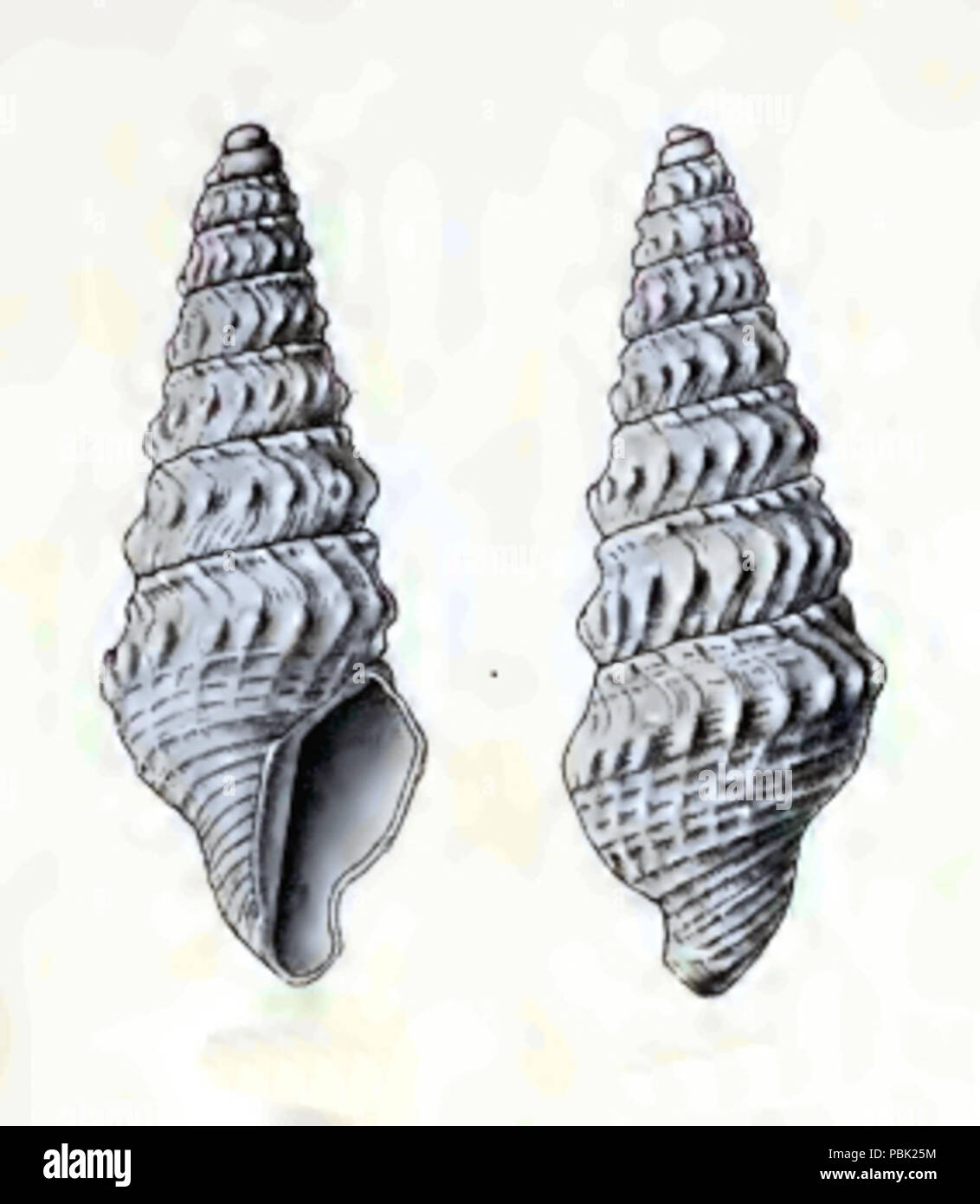 Agalma hi-res stock photography and images - Alamy