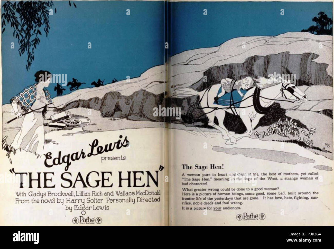 Sage hen hi-res stock photography and images - Alamy