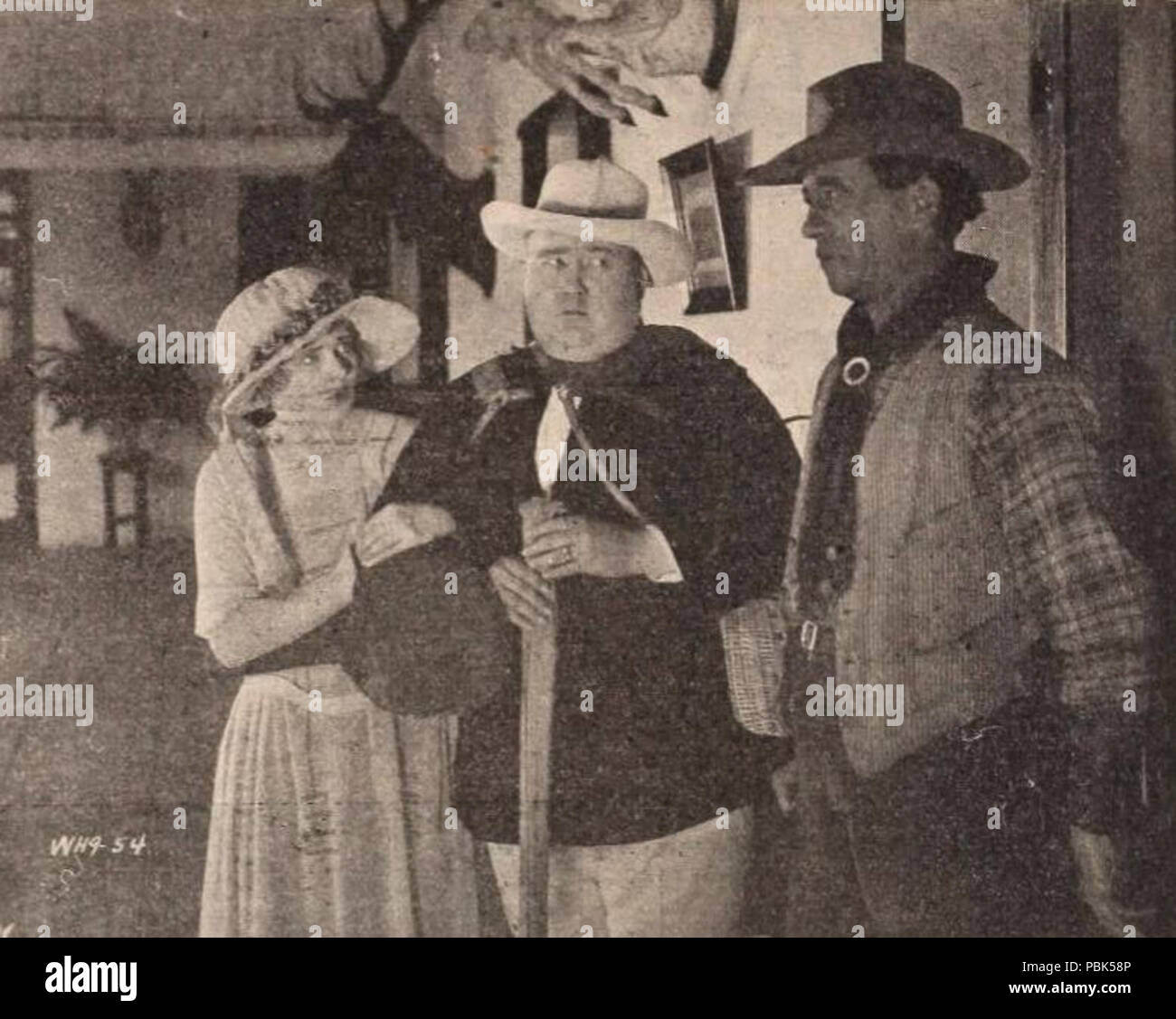 Sturdy oak hi-res stock photography and images - Alamy