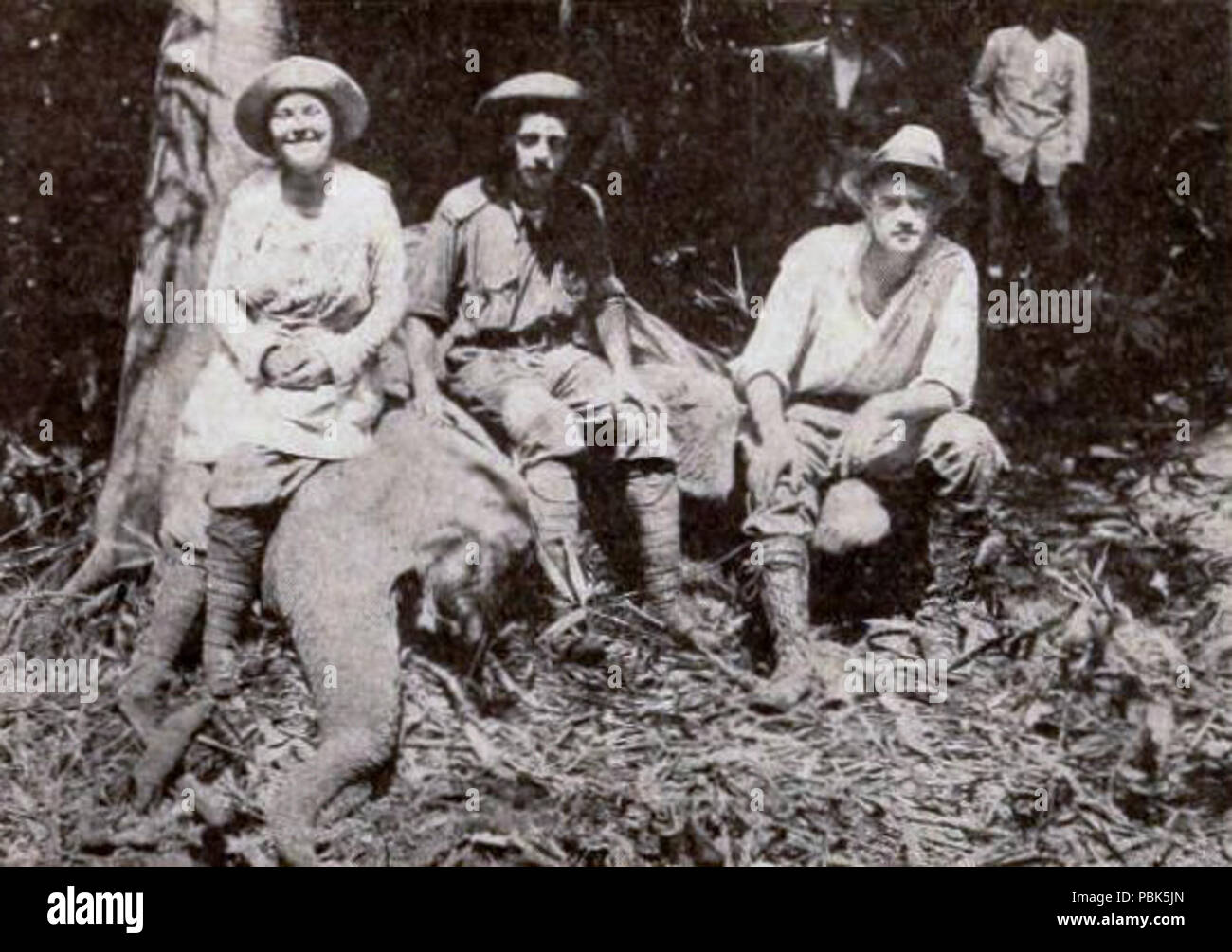 Jungle explorers hi-res stock photography and images - Alamy