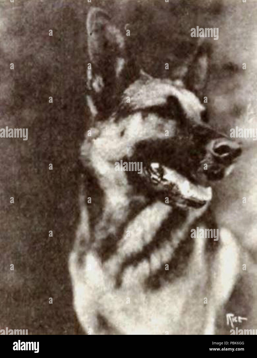 Silent era hi-res stock photography and images - Alamy