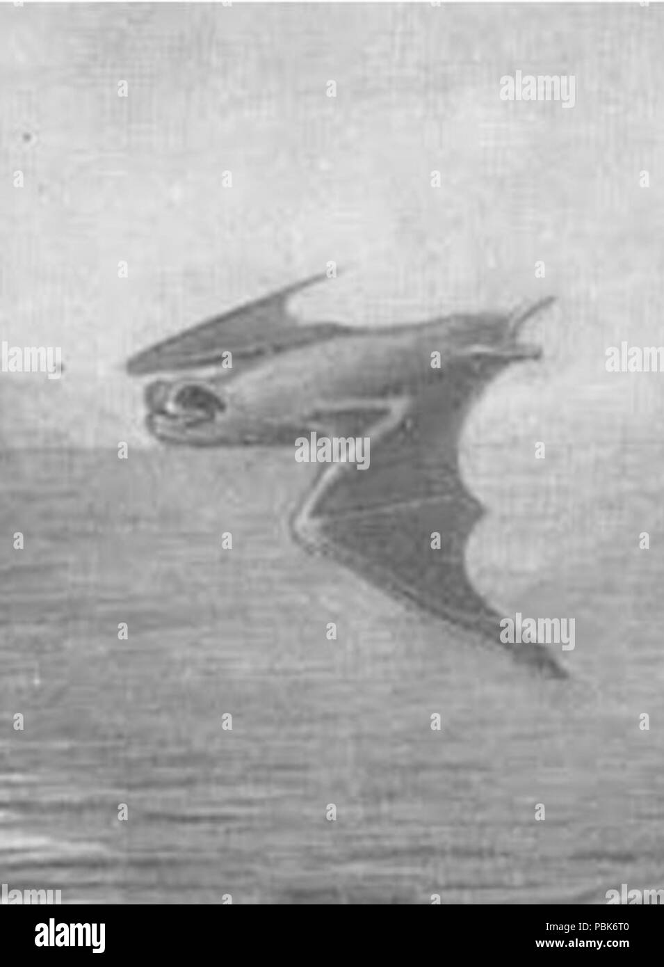 Mops demonstrator hi-res stock photography and images - Alamy