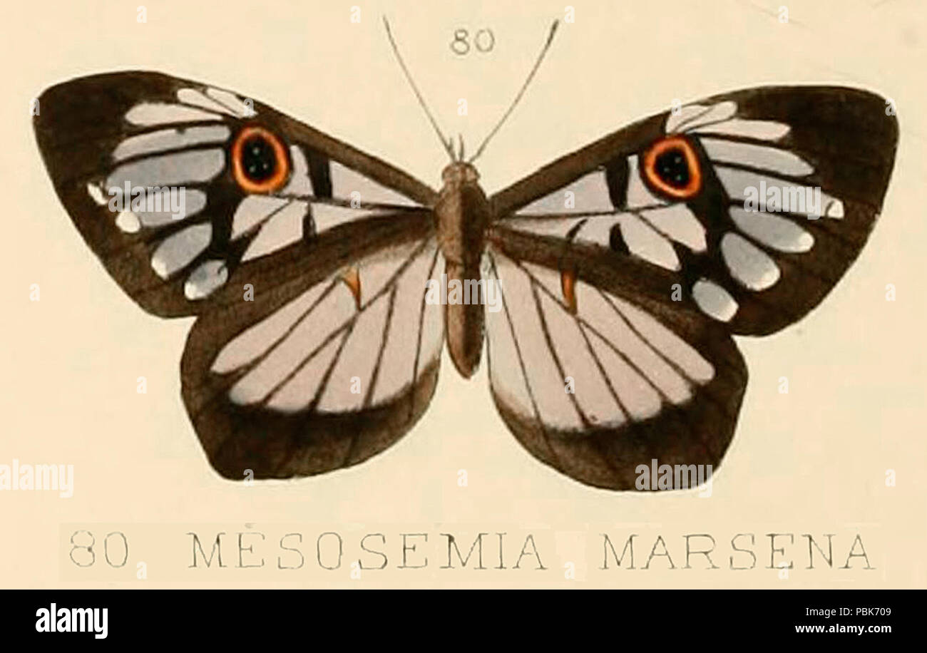 Marsena hi-res stock photography and images - Alamy