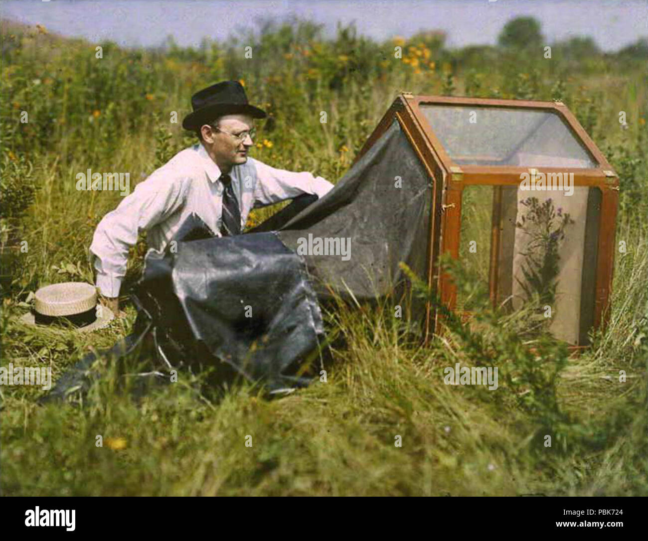 Homer d house hi-res stock photography and images - Alamy