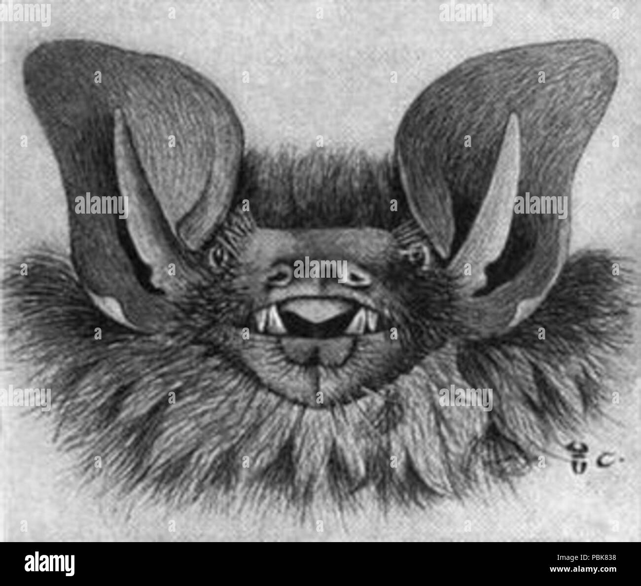 Fauna control Black and White Stock Photos & Images - Alamy