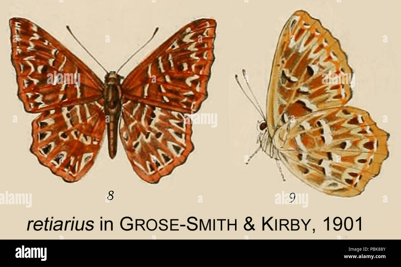 Retiarius hi-res stock photography and images - Alamy