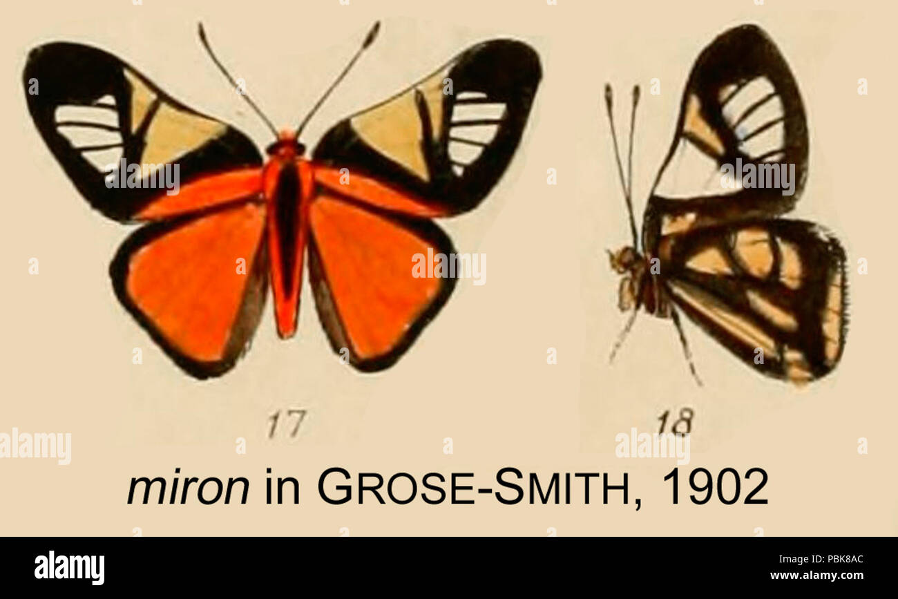 Miron hi-res stock photography and images - Alamy