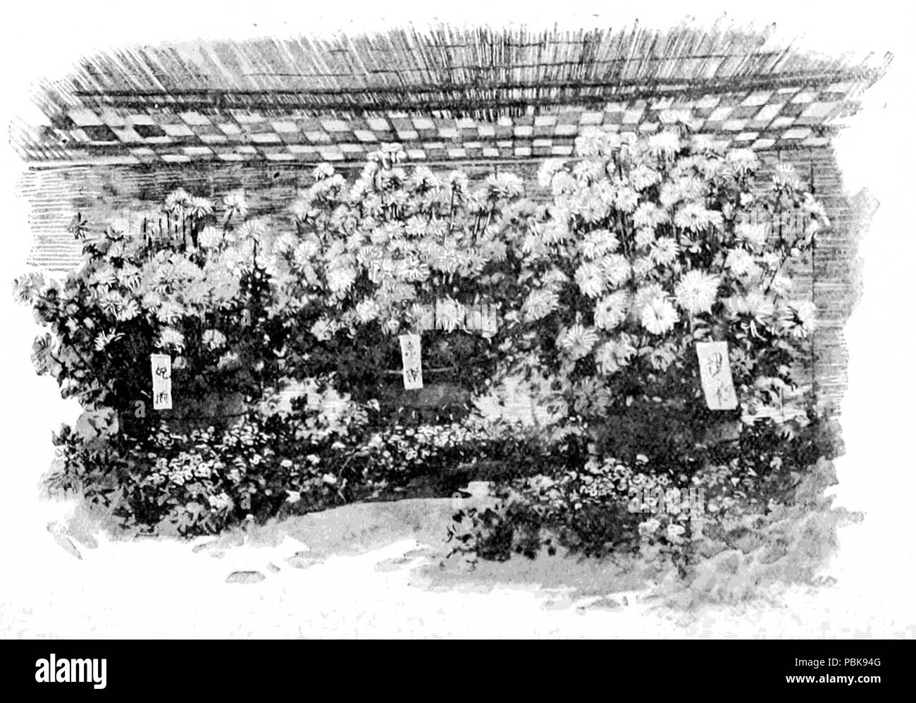 1147 P 121--Jinrikisha days in Japan Stock Photo - Alamy